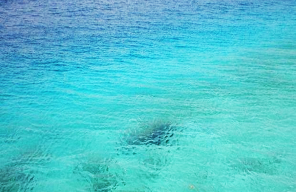 Asian Water – Water