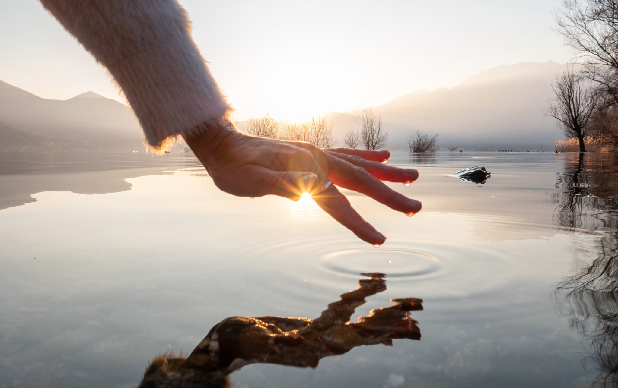 SJW Group Rebrands as H2O America - Asian Water